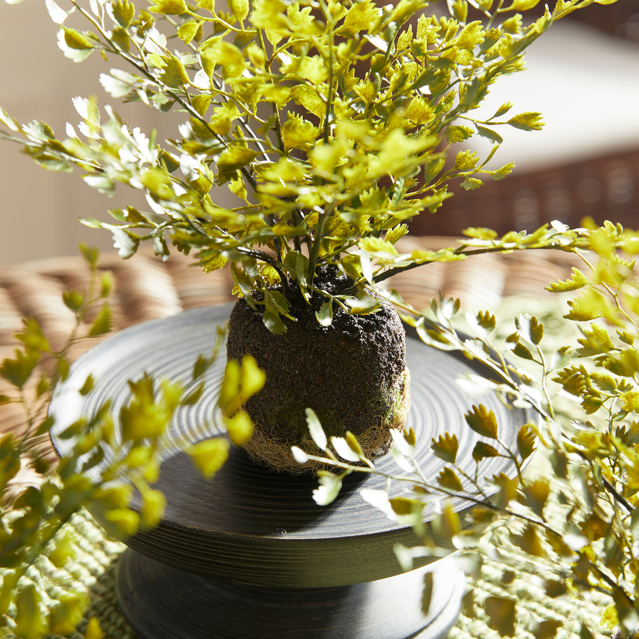 MAIDENHAIR DROP-INS, SET OF 3 – Napa Home & Garden