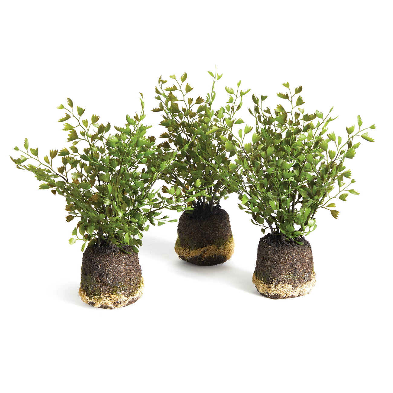 MAIDENHAIR DROP-INS, SET OF 3 – Napa Home & Garden