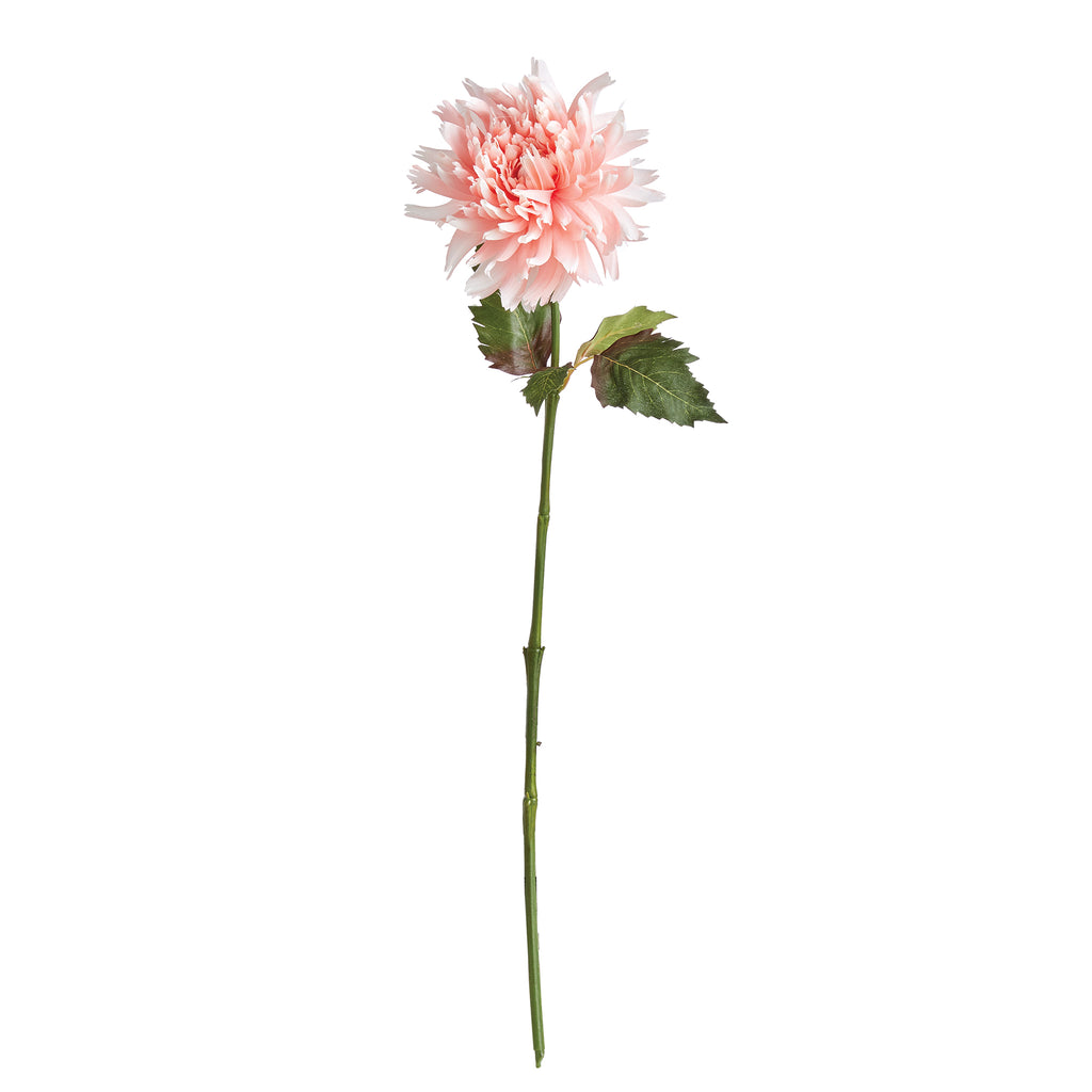 CHRYSANTHEMUM STEM 30" – Napa Home & Garden