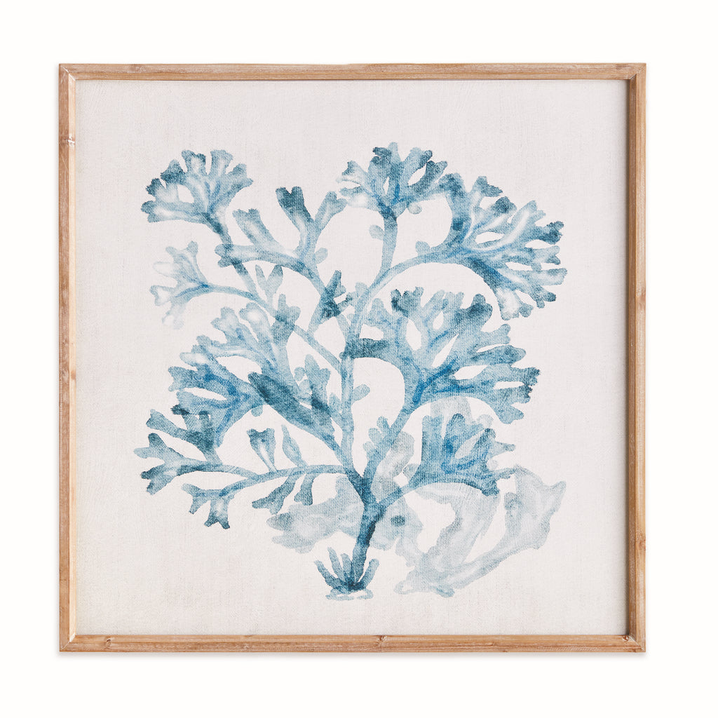 TRANSLUCENT CORAL PRINT – Napa Home & Garden